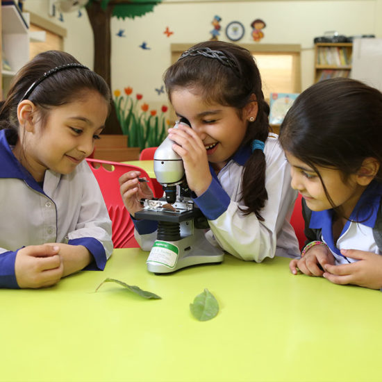 Learner Profile – Beaconhouse
